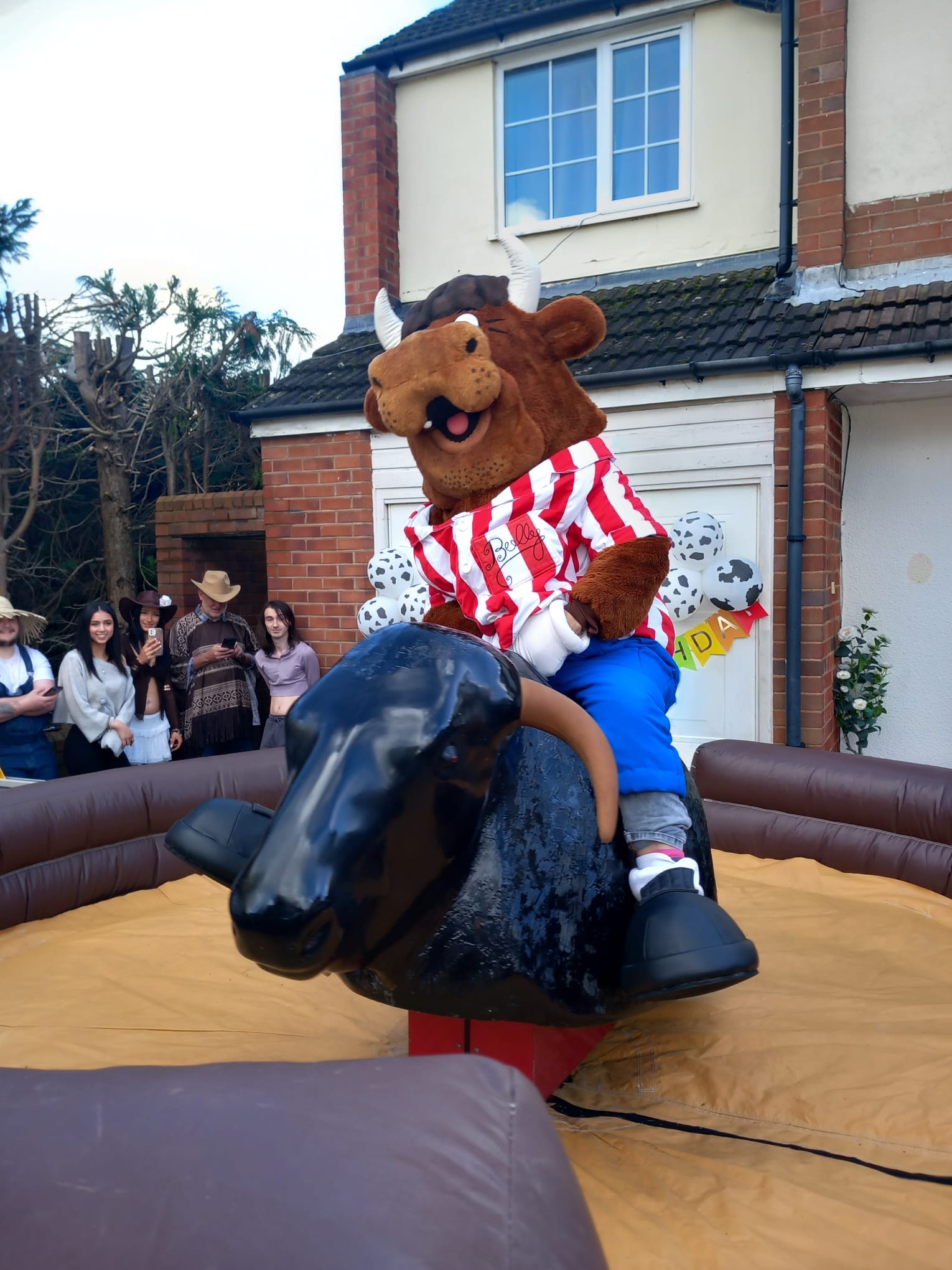 Rodeo bull hire Birmingham and West Midlands