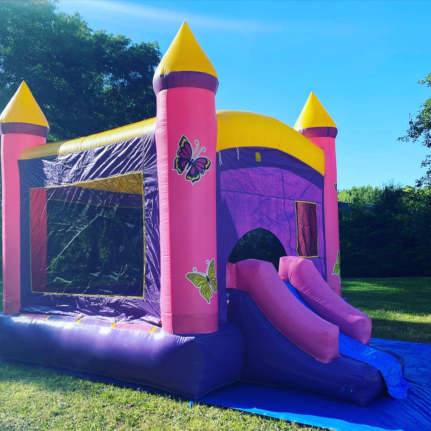 Butterfly Combo - Bounce House and Waterslide Rentals in Gray Court ...