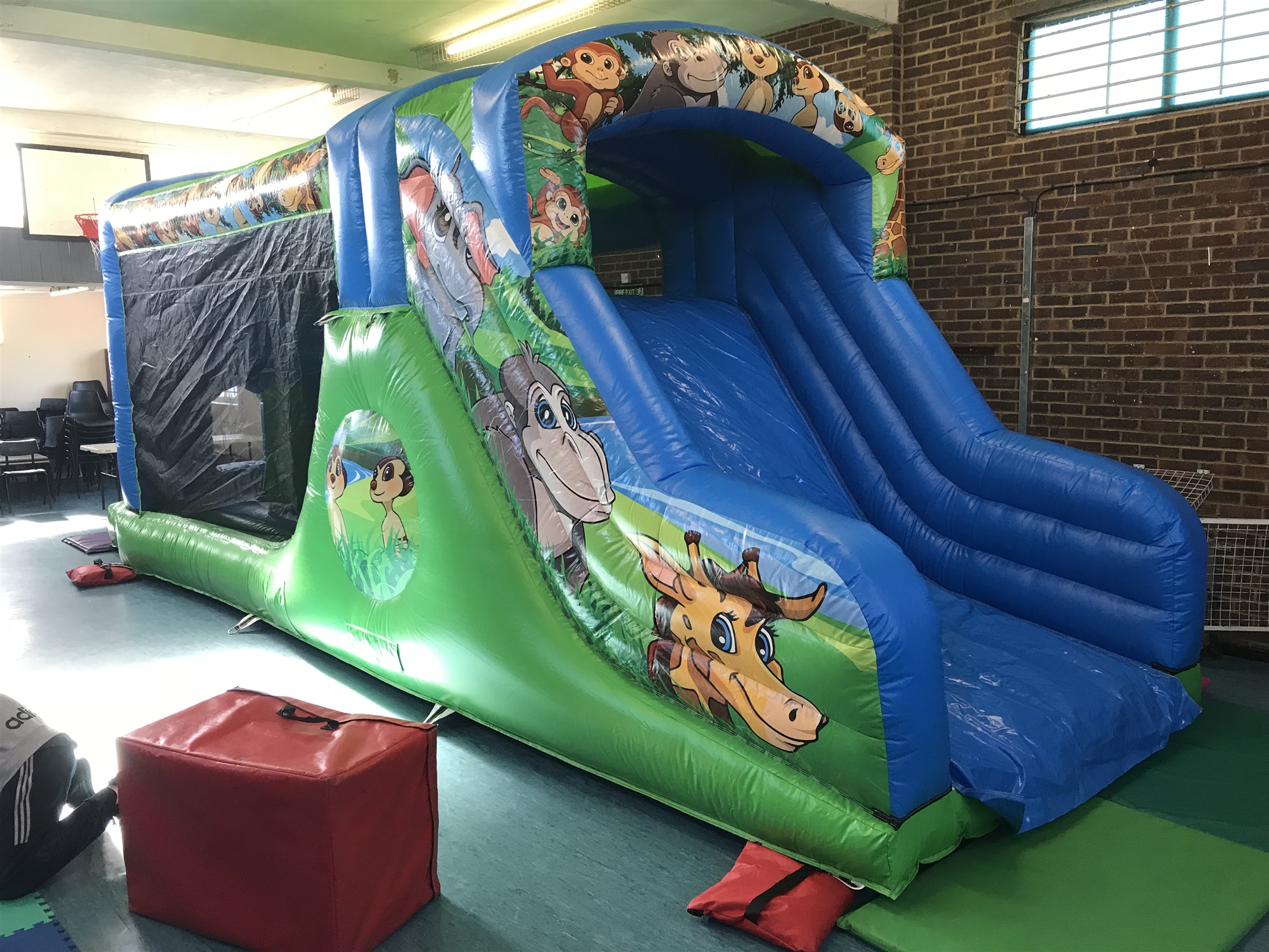 Jungle Fun Run Hire