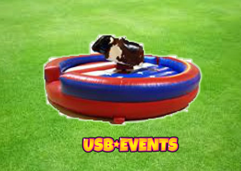 Inflatable Games - Bouncy Castle Hire & inflatable games in Larbert ...