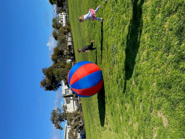 Giant Ball Hire Adelaide