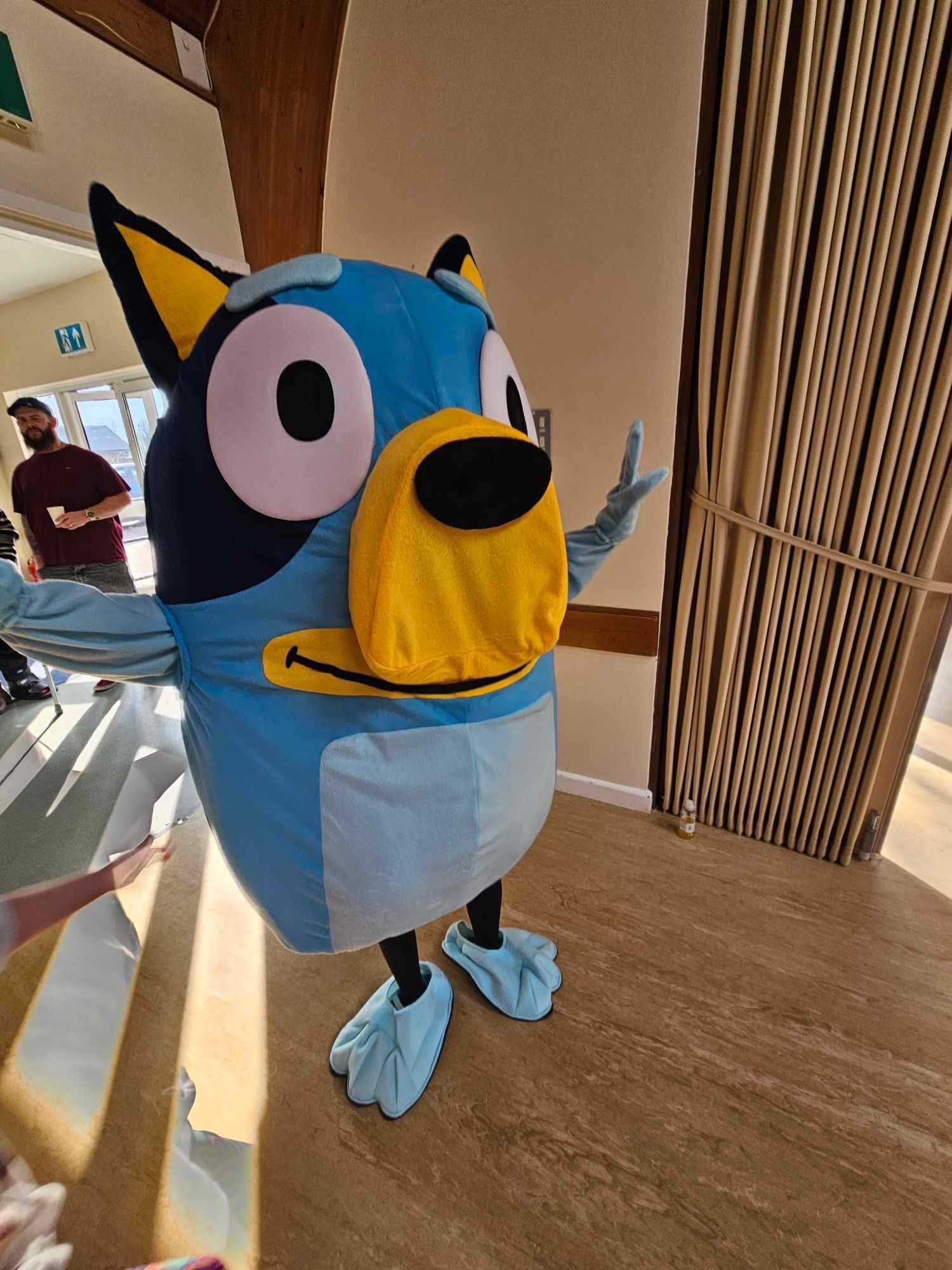 Bluey mascot hire - Best Mascot Hire Service in Portsmouth