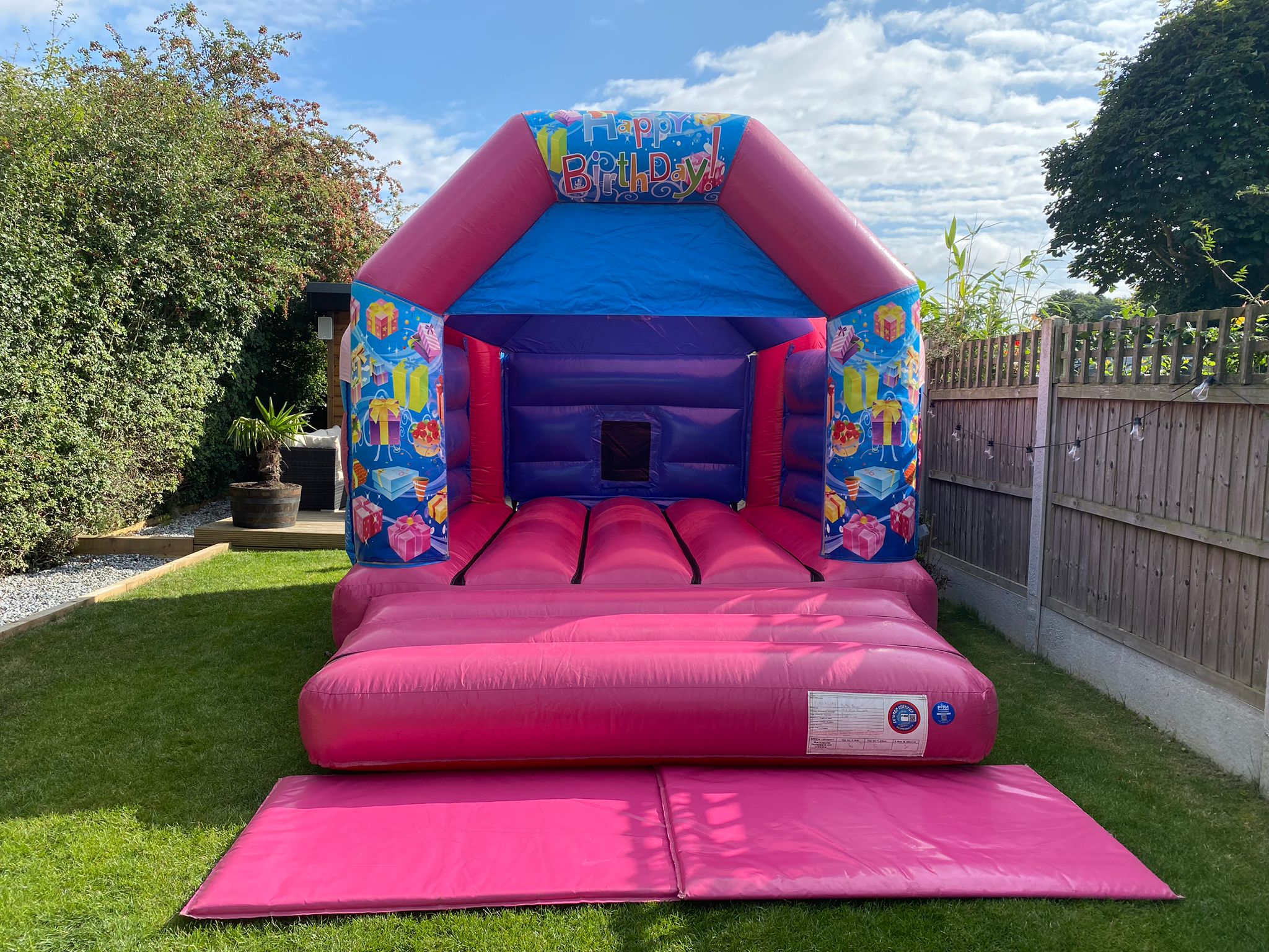 Pink and Blue Bouncy Castle with Party Theme of your Choice - Event ...