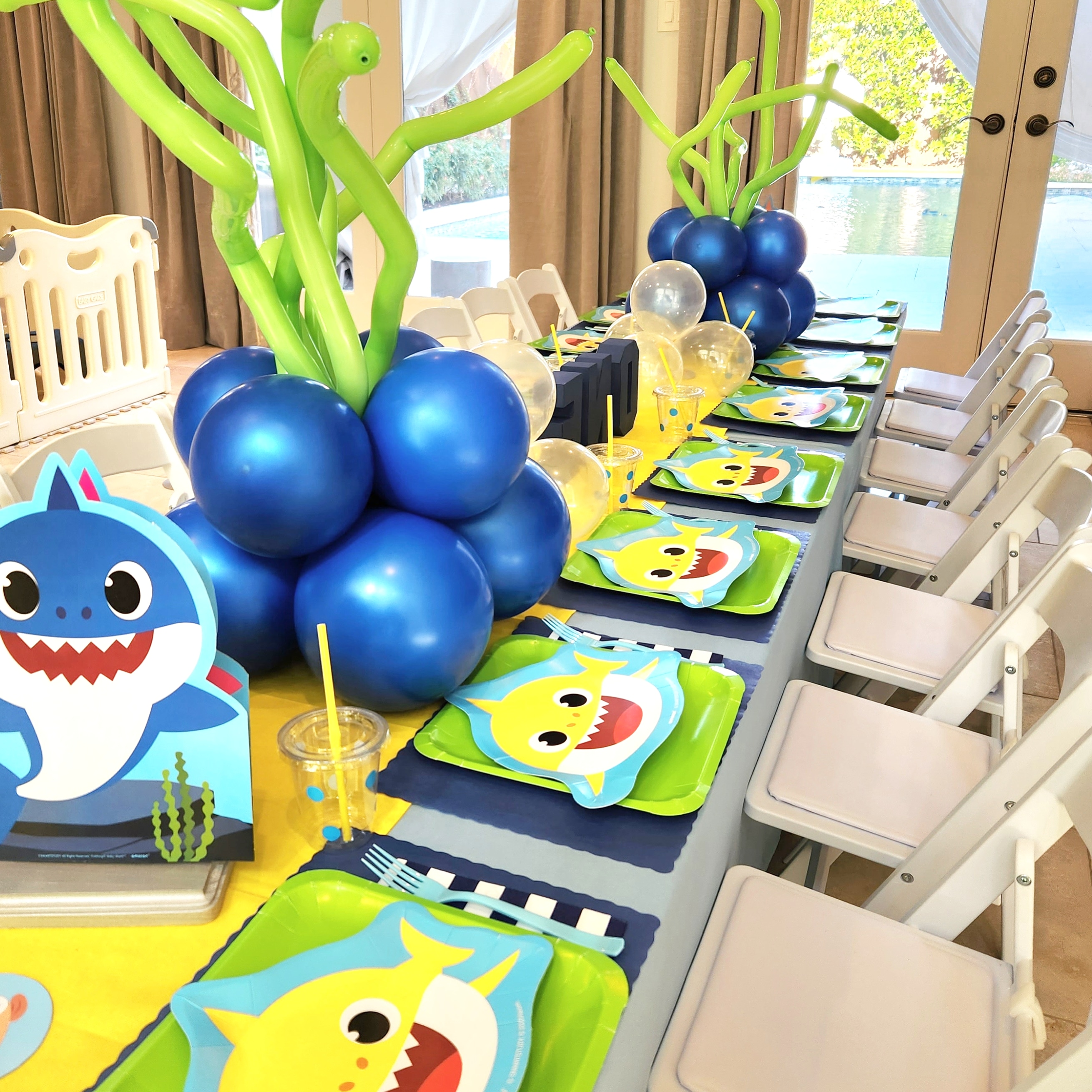 Kids Birthday Party Package! Soft Play -White Bounce House - Kid Table