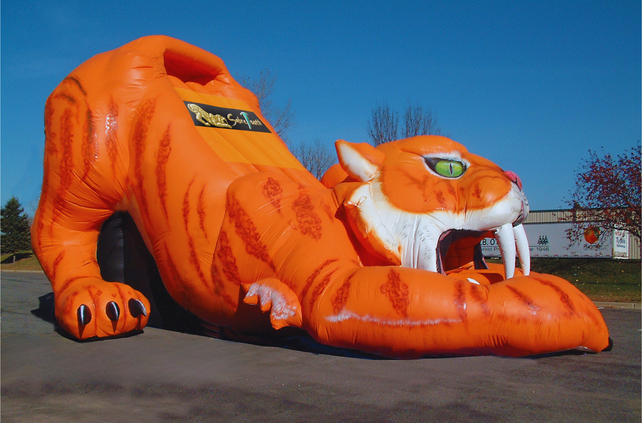 Inflatable Slides - Rentals in Wisconsion | Blue Sky Inflatables, LLC