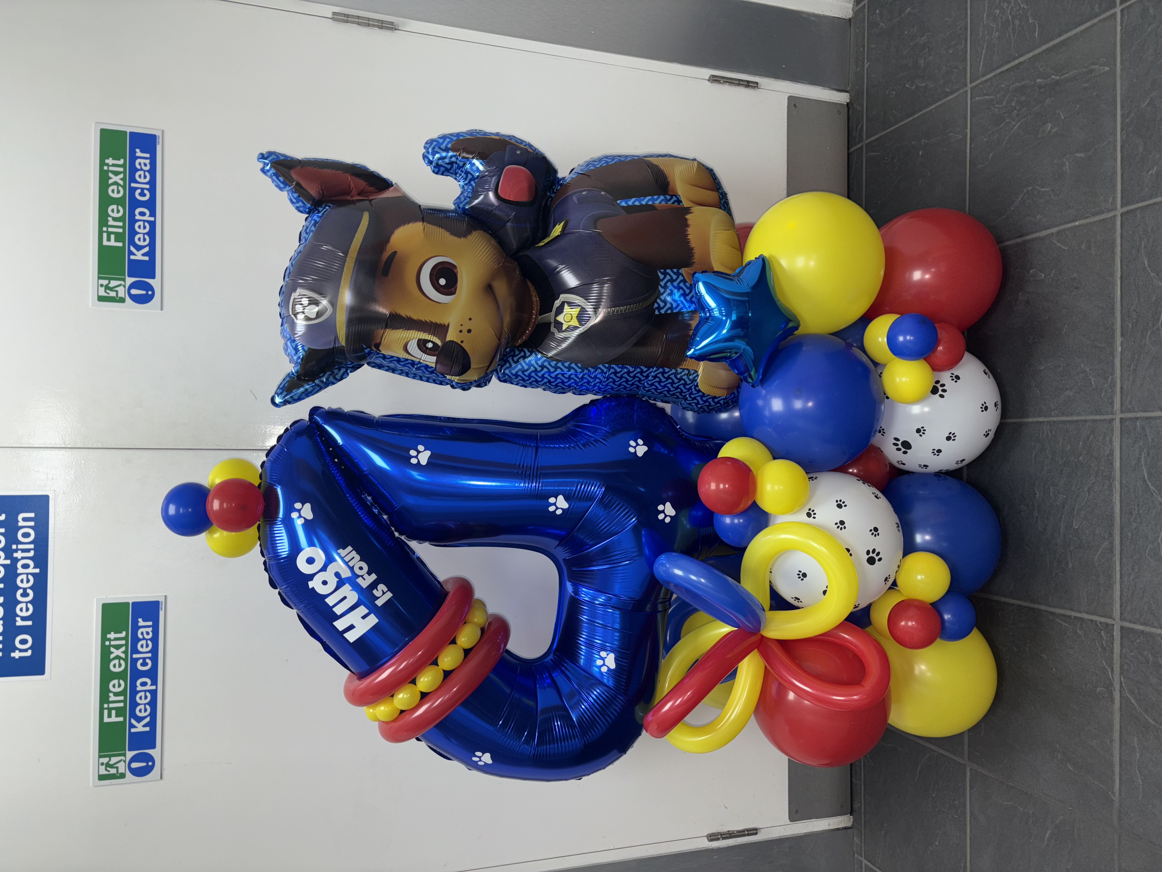 Paw patrol Number Display (Large) - Hire, Balloon Displays, Bouncy ...