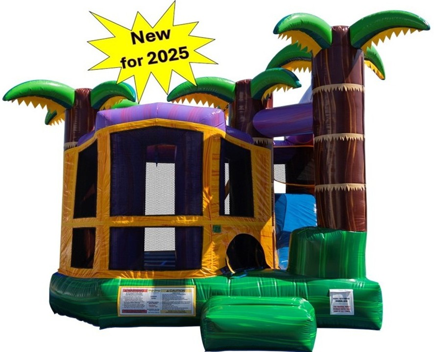 Bounce and Slide Inflatable Rentals | Inflatable Party Rentals