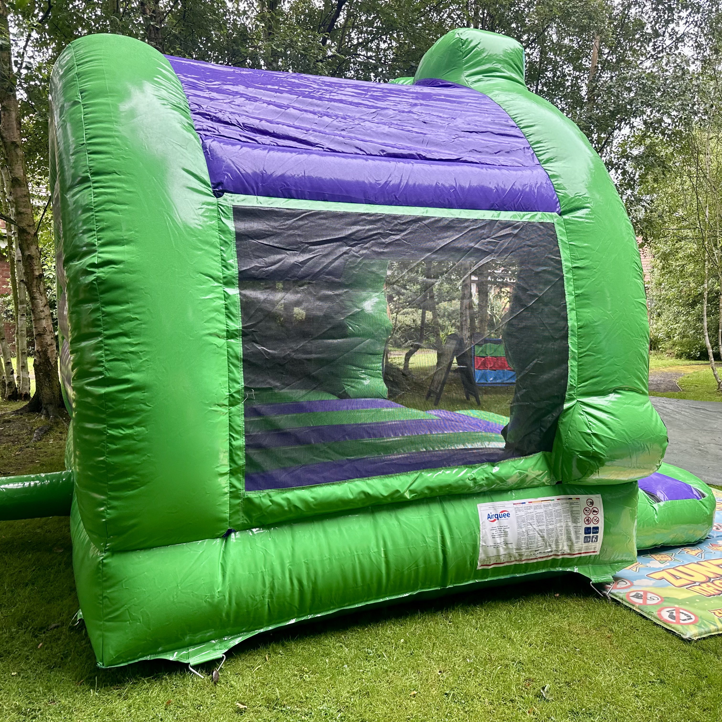 3D Baby Dinosaur Bouncy Castle Hire | Teesside & County Durham