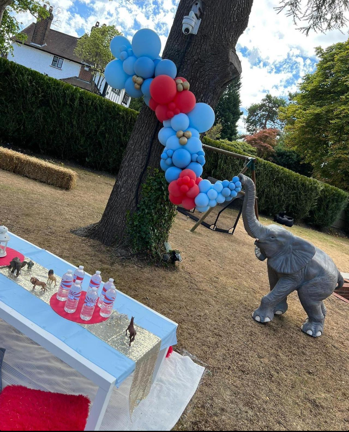 Elephant Animal Prop Hire in Essex & London