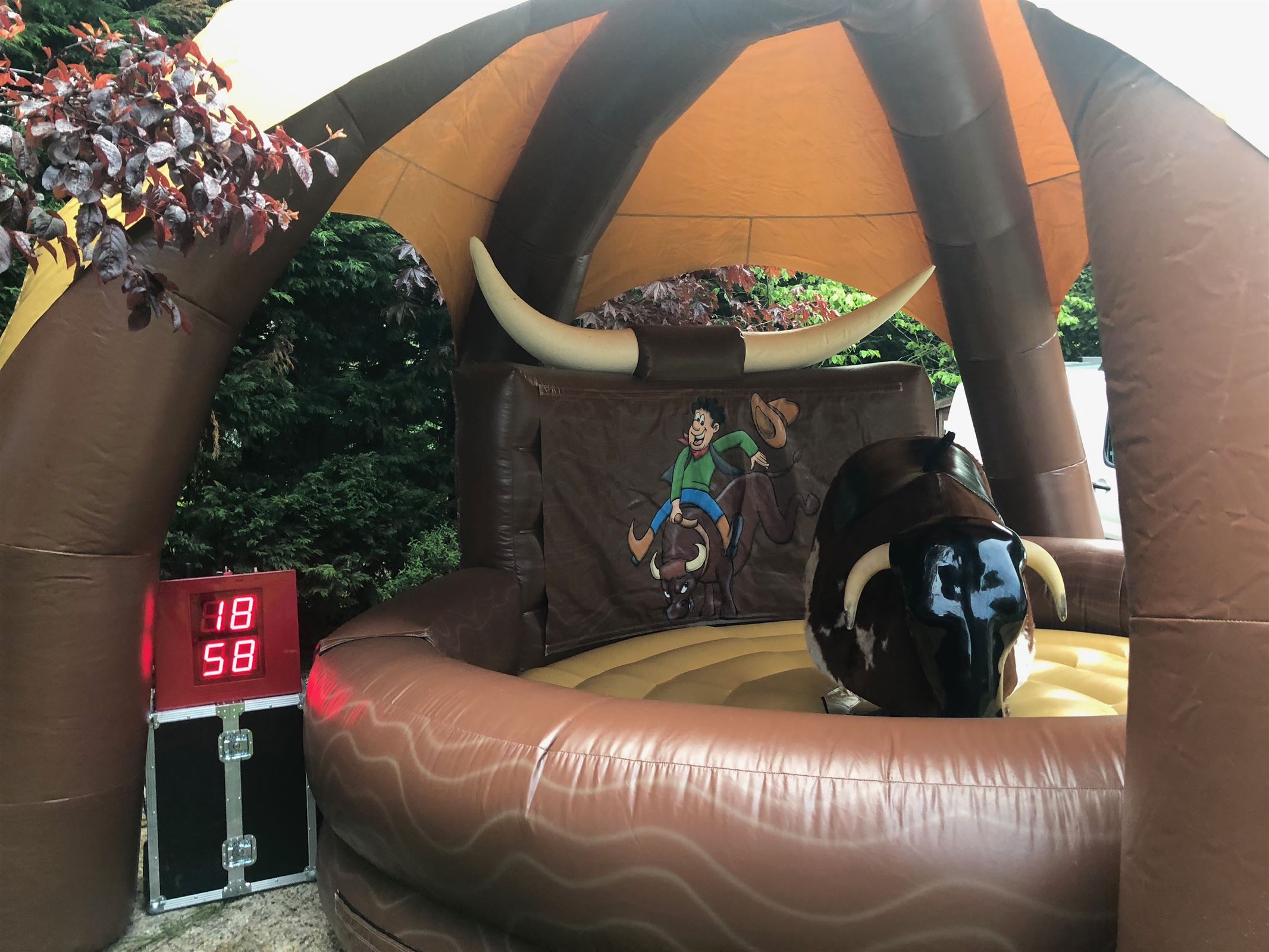 Rodeo Bull Hire | London Cambridge Northampton Leicester UK