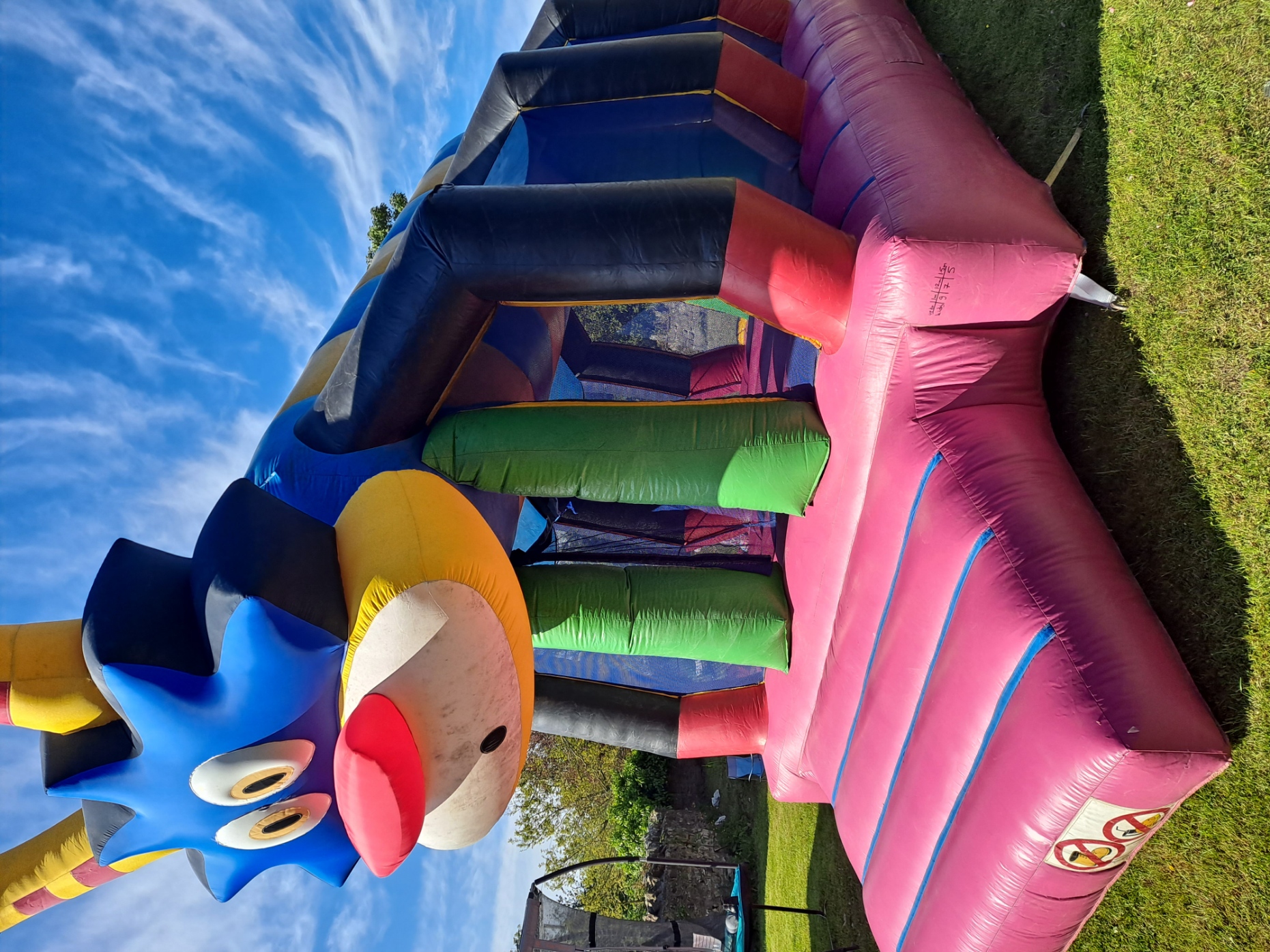 27 feet Giant Bertie Bug Bouncy Castle - Bouncy Castle Hire in Bristol ...