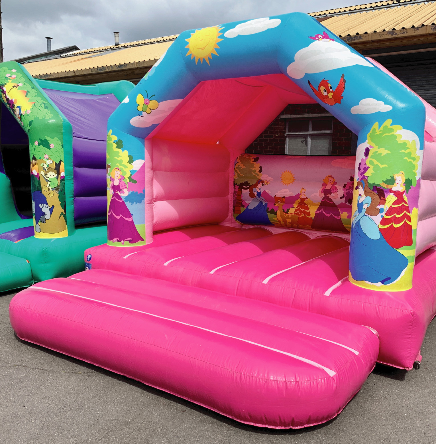 GIRLS BOUNCY CASTLES - North East Bouncy Castle Inflatable Hire, DJ ...