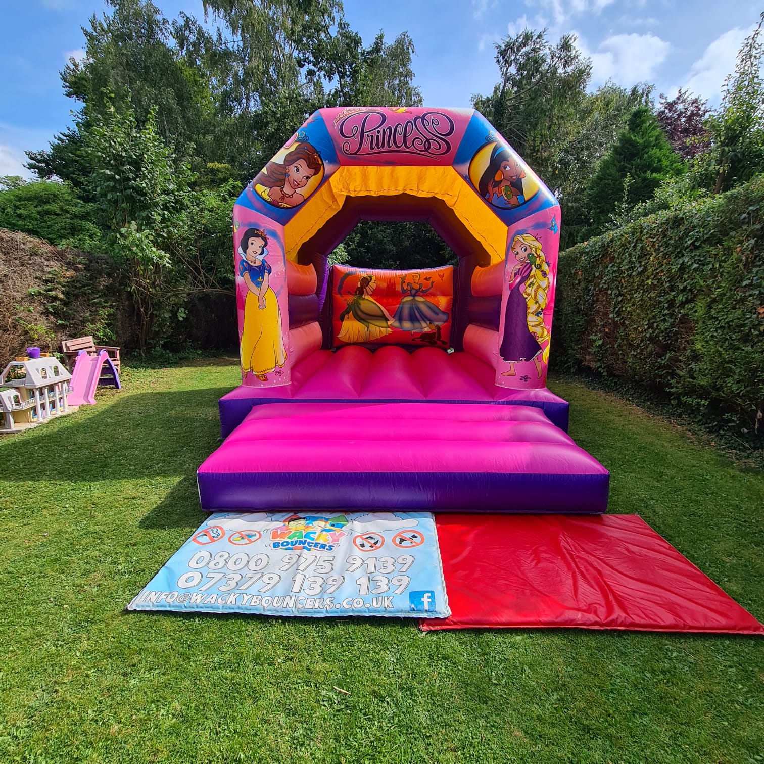Princess Themed Bouncy Castle With Pink And Purple Air Juggler Ball ...