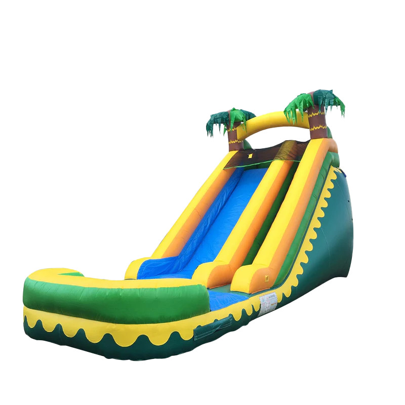 Tropical Aloha 18 Ft Water Slide Rental in Michigan | The Dunk Tank Co