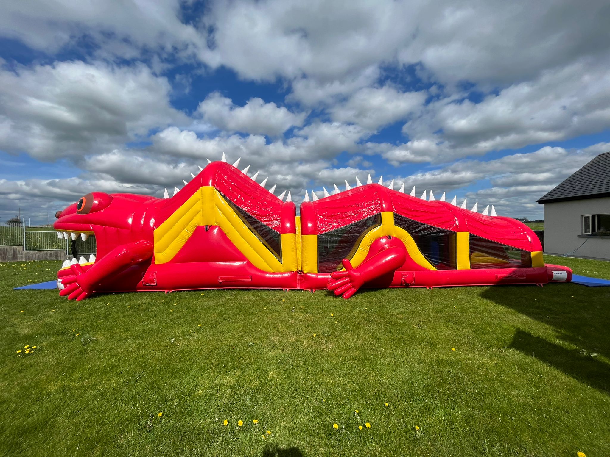 50ft Lizard Obstacle Course - Bouncy Castle Hire in Mayo, Castlebar ...