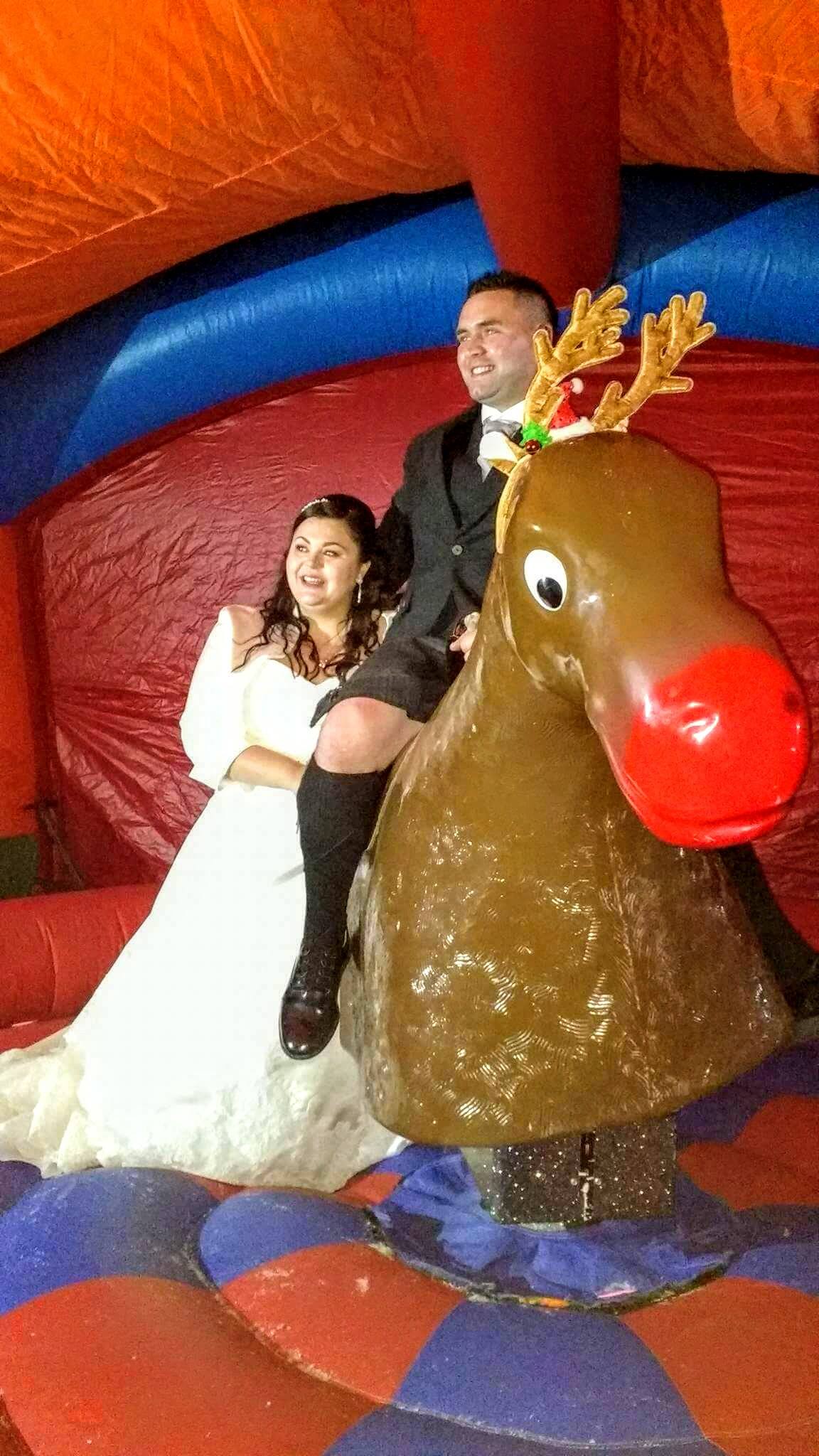 Rodeo Reindeer Hire | Swansea, Pembroke, Carmarthen, Wales