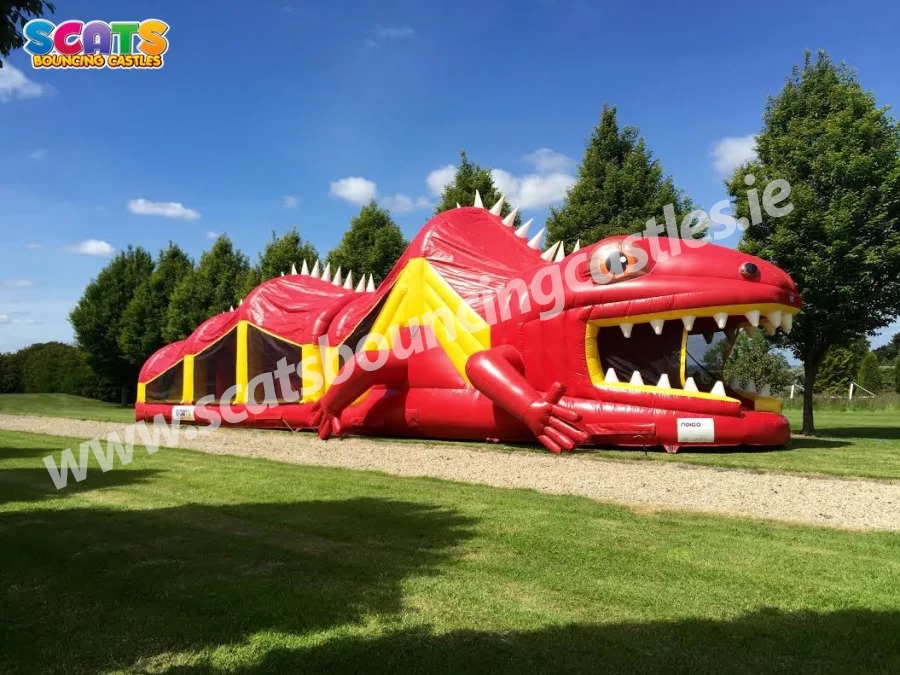 Lizard Obstacle Course