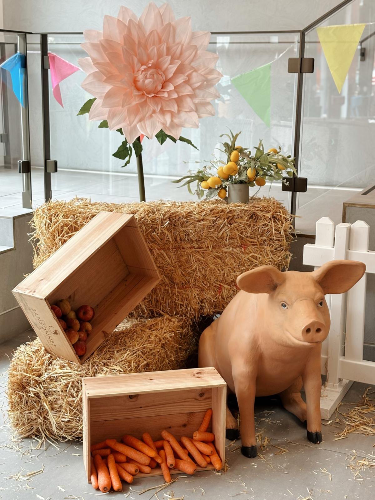 Animal Props for Hire in Essex, London & Nationwide