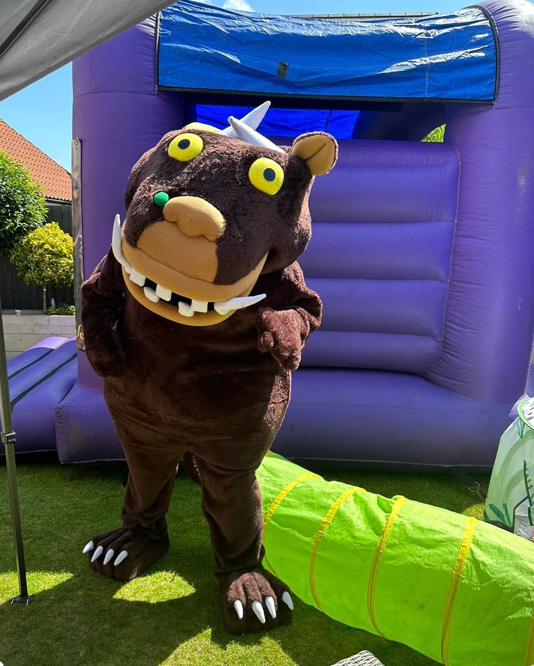 Adult Mascot Costumes 4 SALE - Best Bouncy Castle, Softplay and Mascot ...