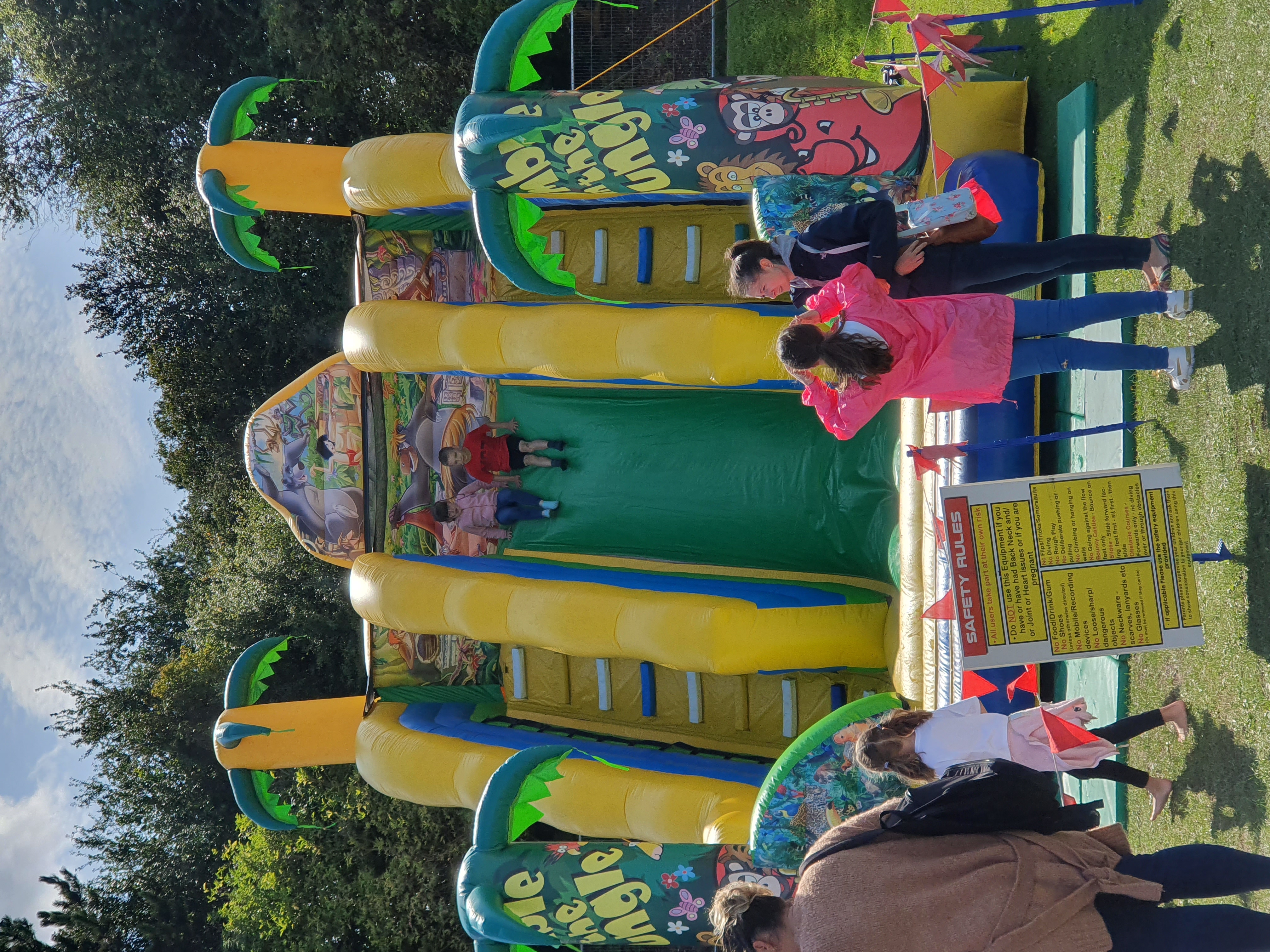 Jungle Large Slide - Hire in UK | Simply The Best Events