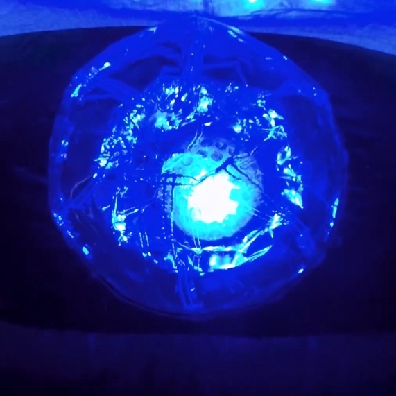 42ft Lightning (Disco ready) Assault Course - Bouncy Castle Hire in ...