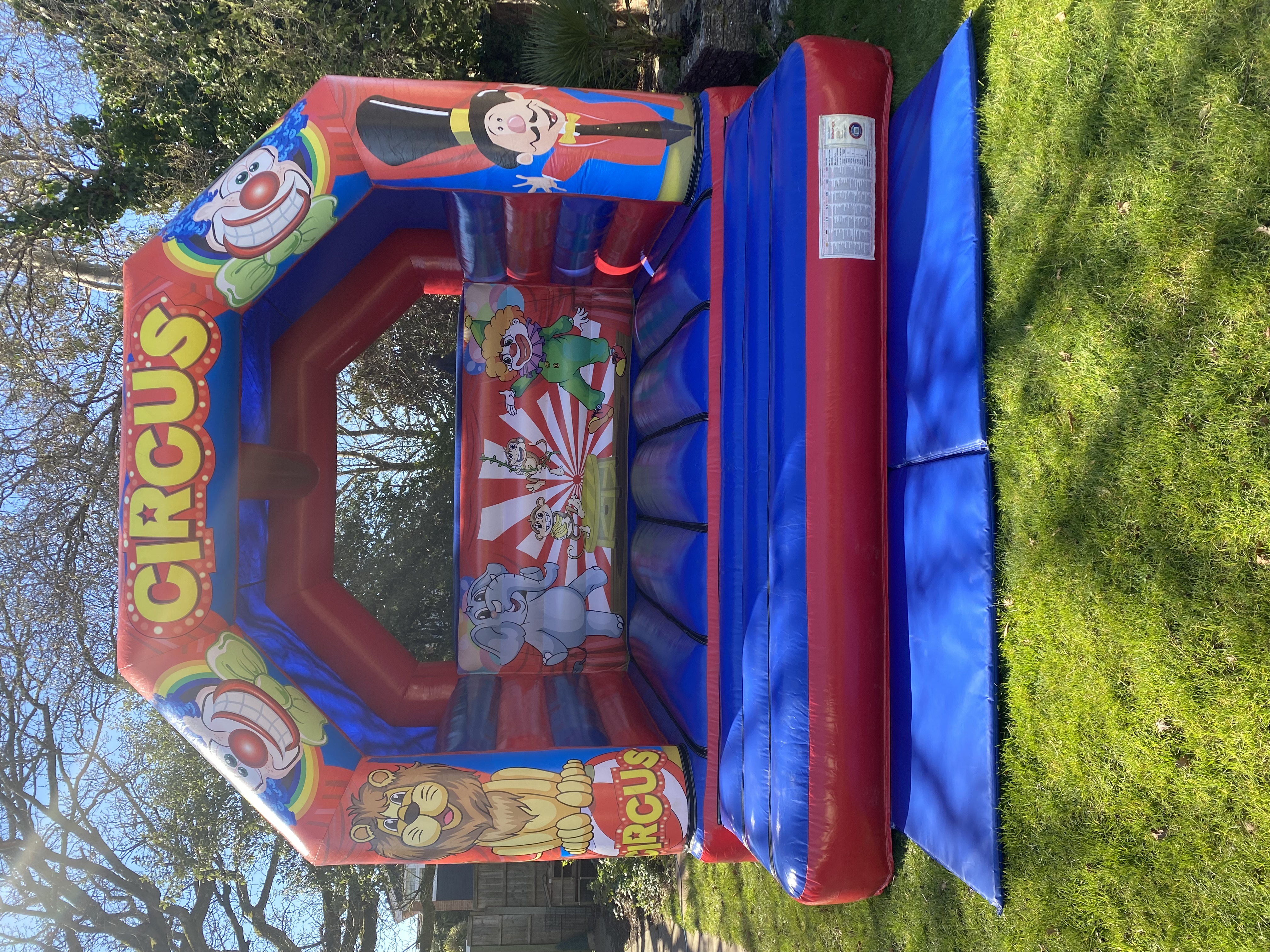 Large Circus Bouncy Castle (Adult Capable) - Hire, Balloon Displays ...