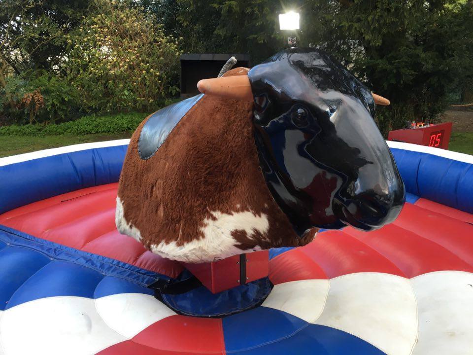 Rodeo Bull hire in Cumbria