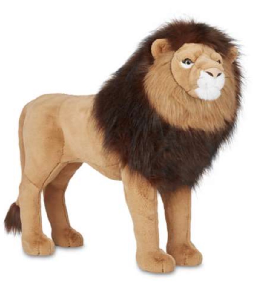 Stuffed Animals - Hire in CA