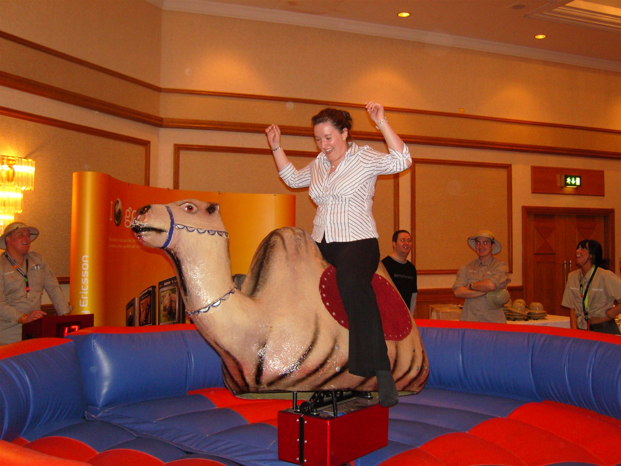 Bucking Camel Hire - Rodeo Bull Hire in Essex, London & Nationwide ...