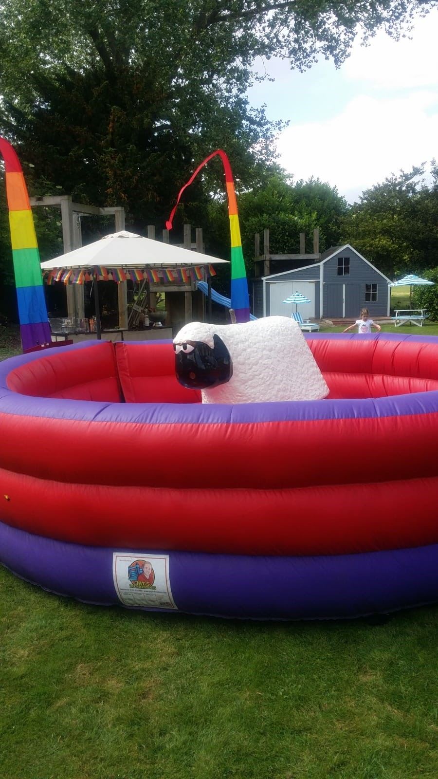 Rodeo Sheep hire - Rodeo Bull Hire in Essex, London & Nationwide ...