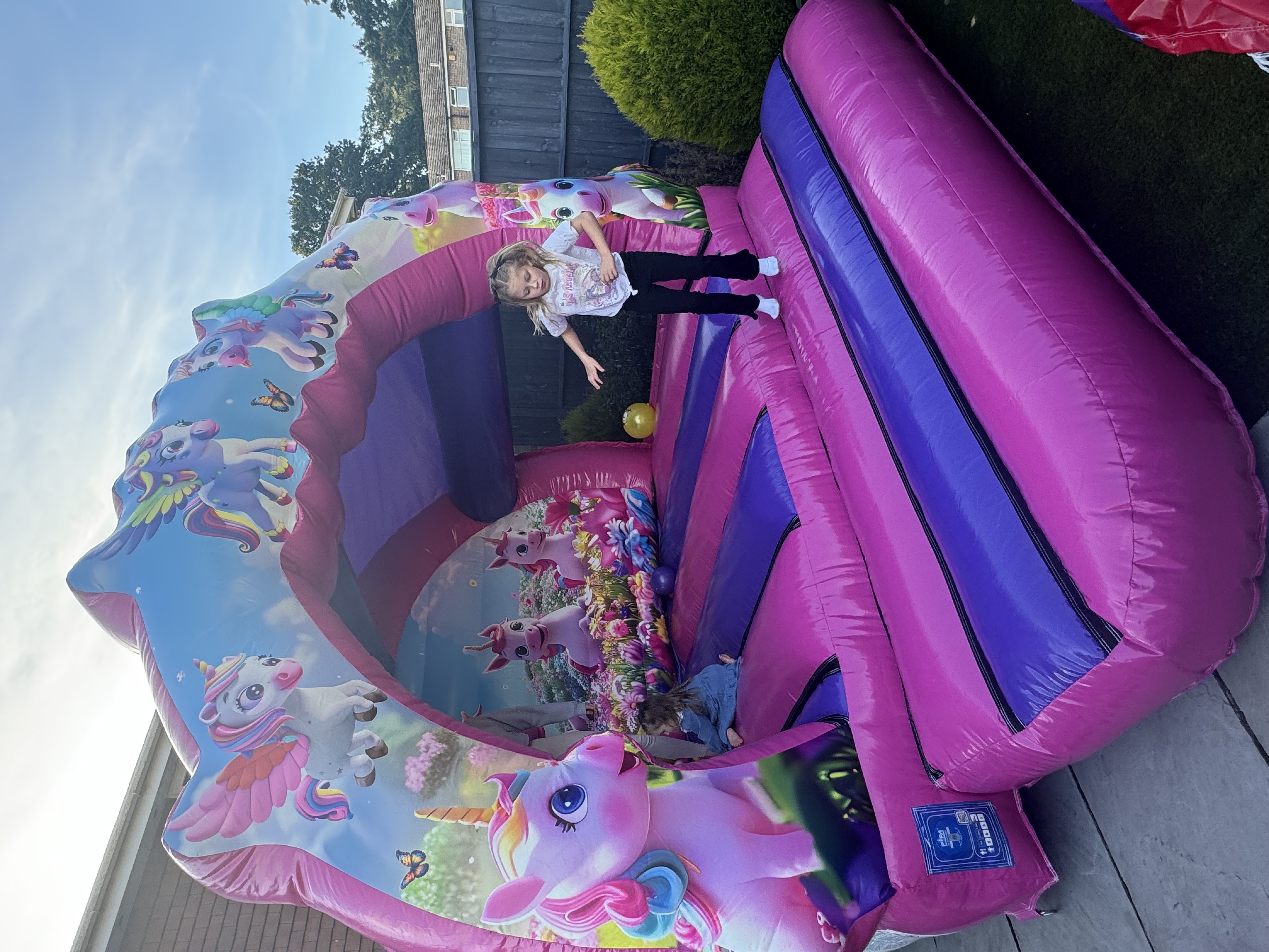 Unicorn Bouncy Castle - Best Bouncy Castle Hire Service In Chichester