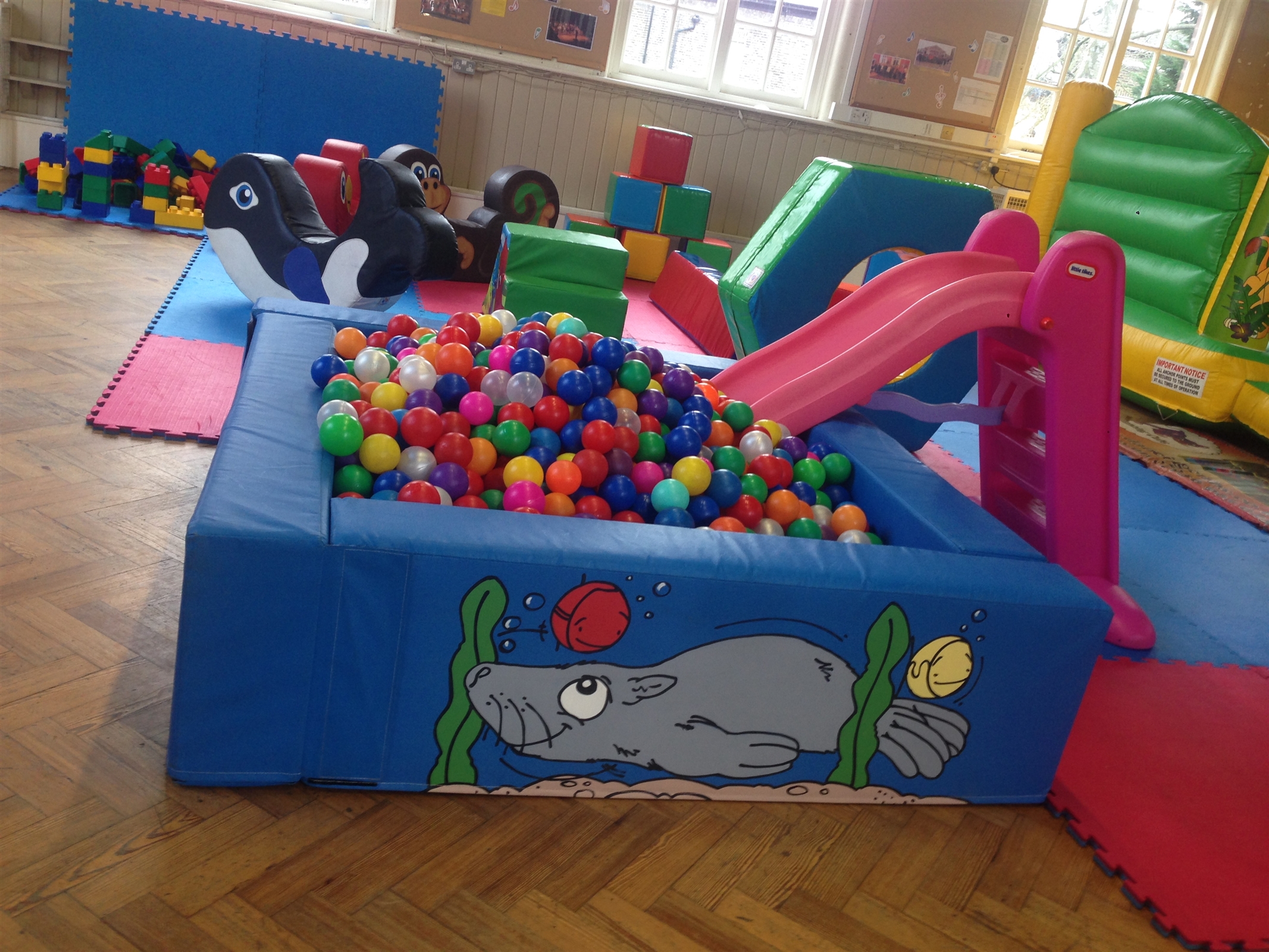 Sea Life Themed Ball Pond for hire London