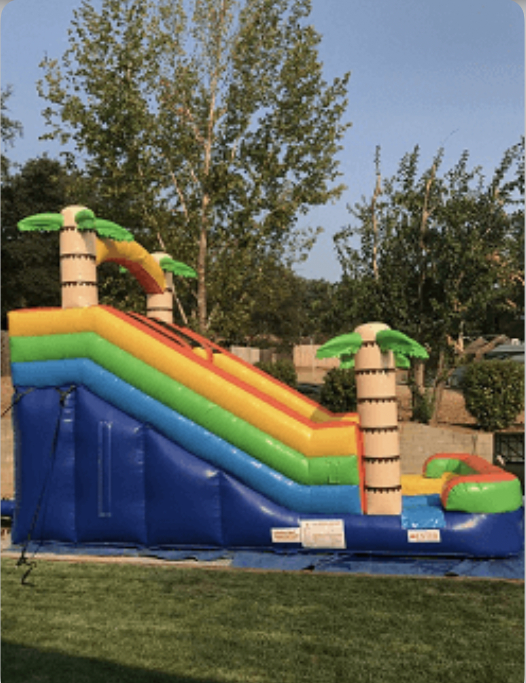 ADVENTURE ISLAND DUAL LANE TROPICAL COMPETITIVE SLIDE WET - Inflatable ...