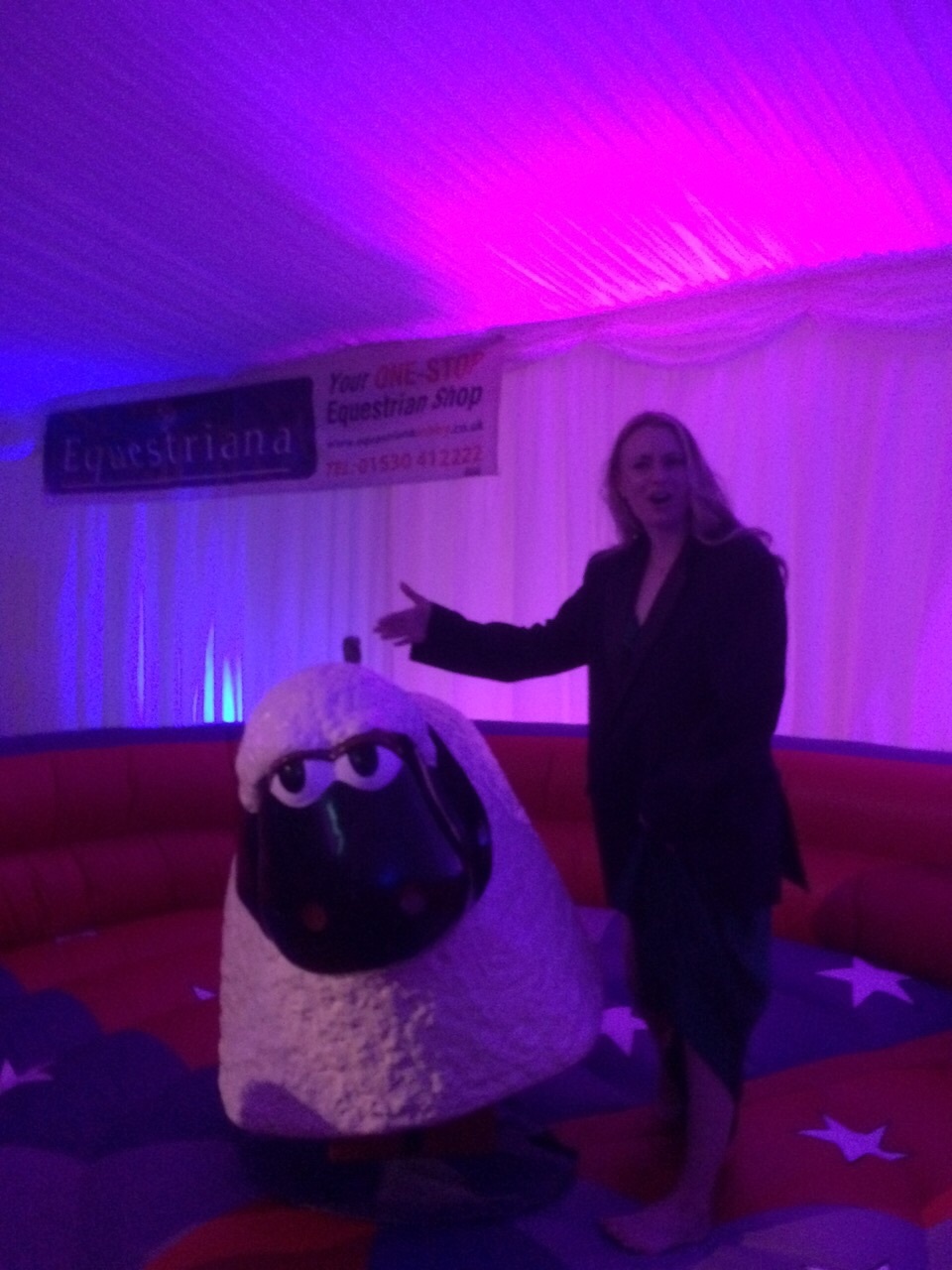 Rodeo Sheep hire - Rodeo Bull Hire in Essex, London & Nationwide ...