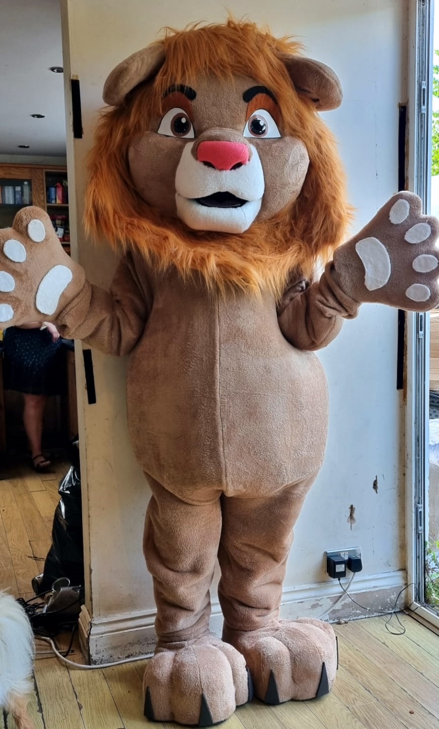 Adult Mascot Costumes 4 SALE - Best Bouncy Castle, Softplay and Mascot ...