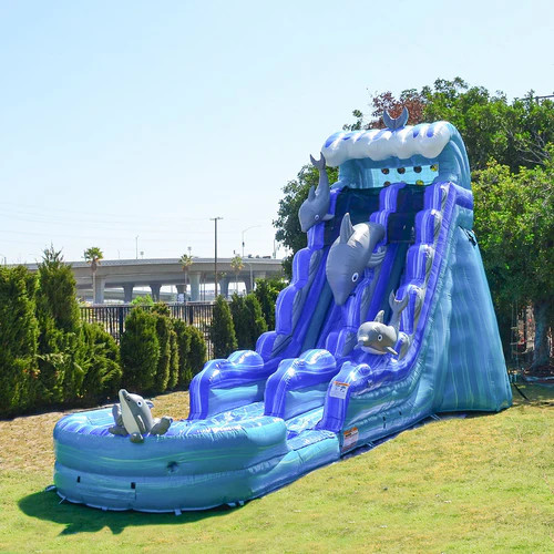 20ft Dolphin Water Slide