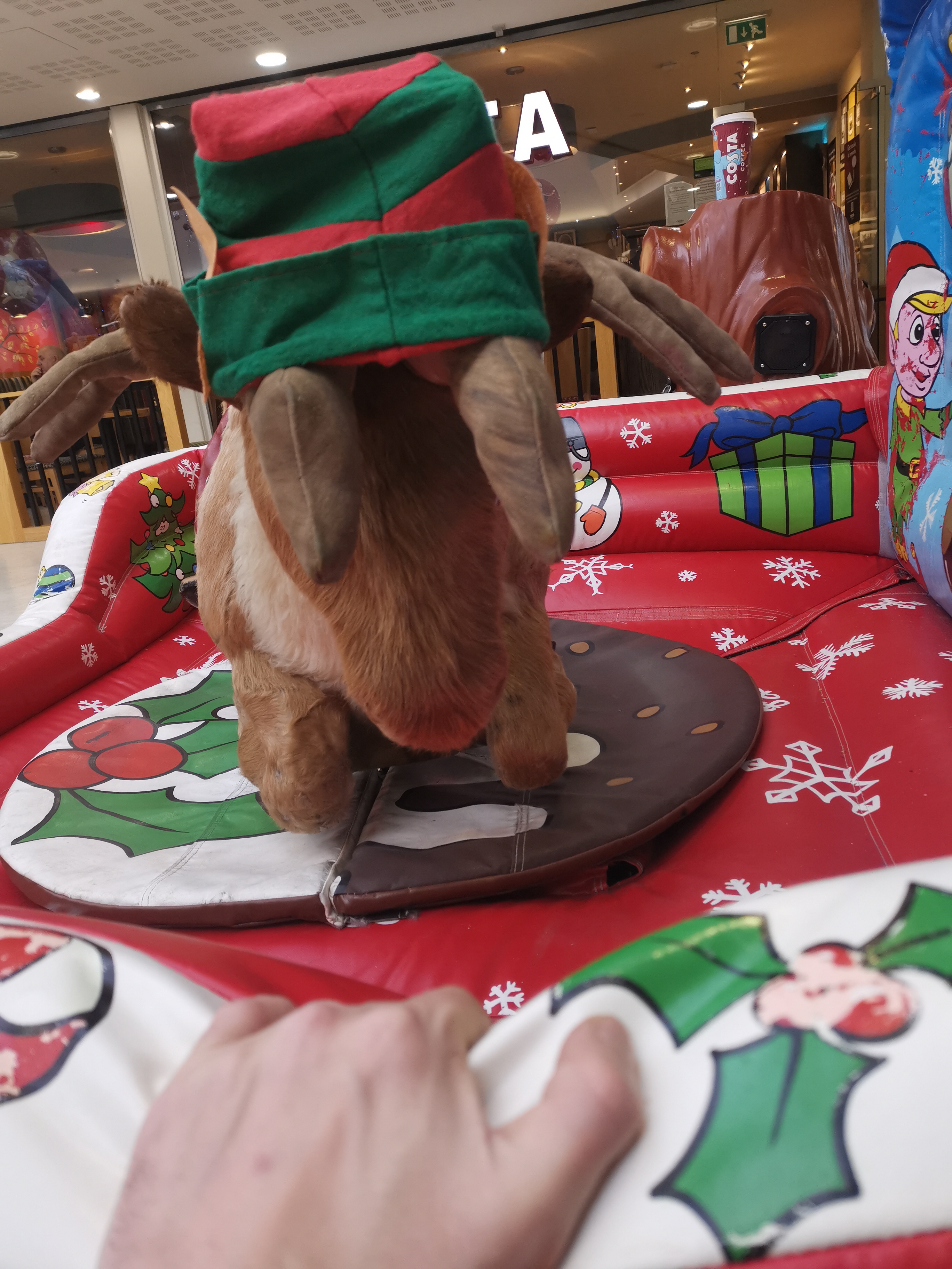 Children’s Rodeo Reindeer Hire – A Magical Winter Wonderland