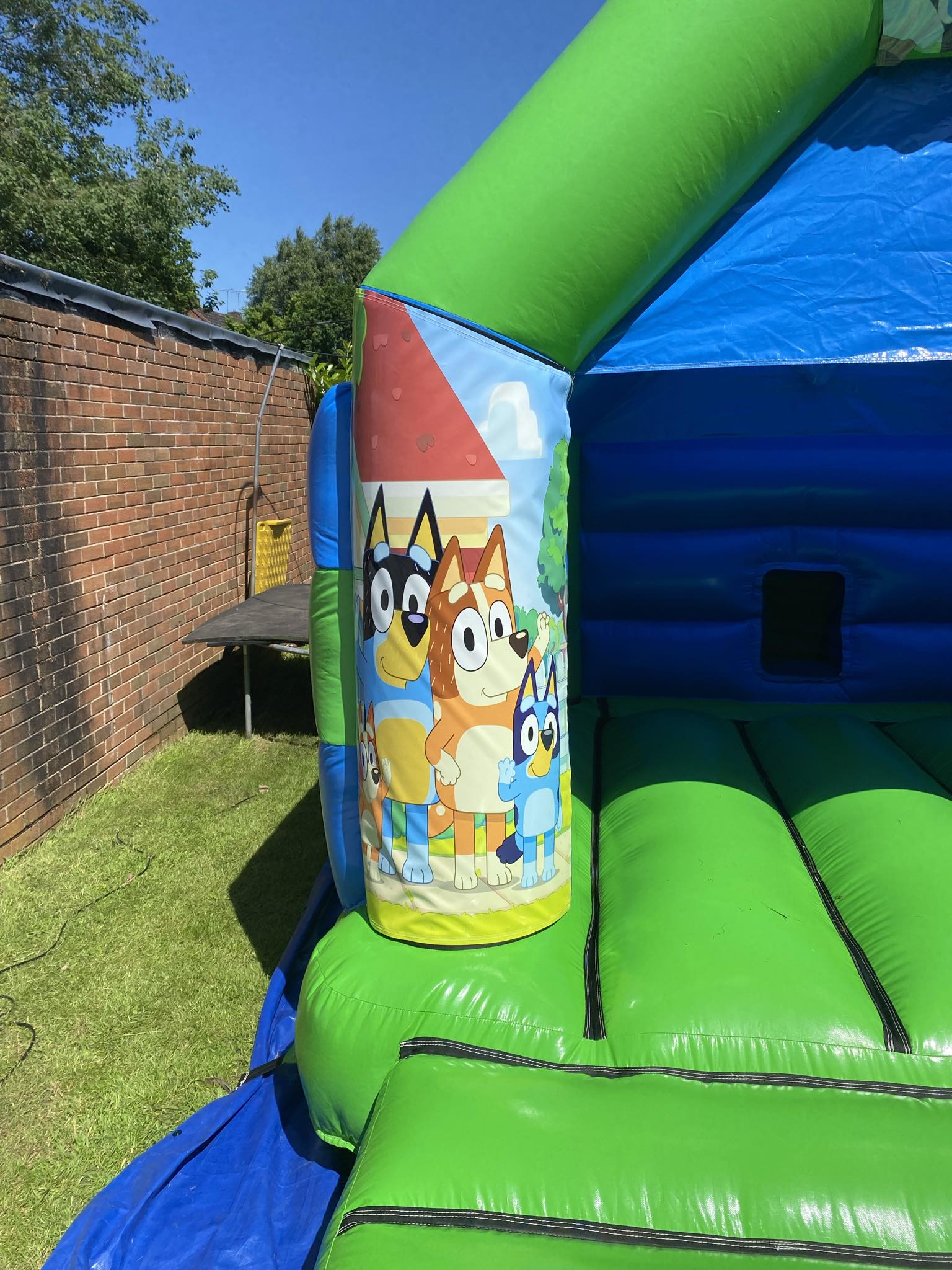 Blue/Green Bluey themed bouncy castle - Bouncy castle hire in Coventry ...
