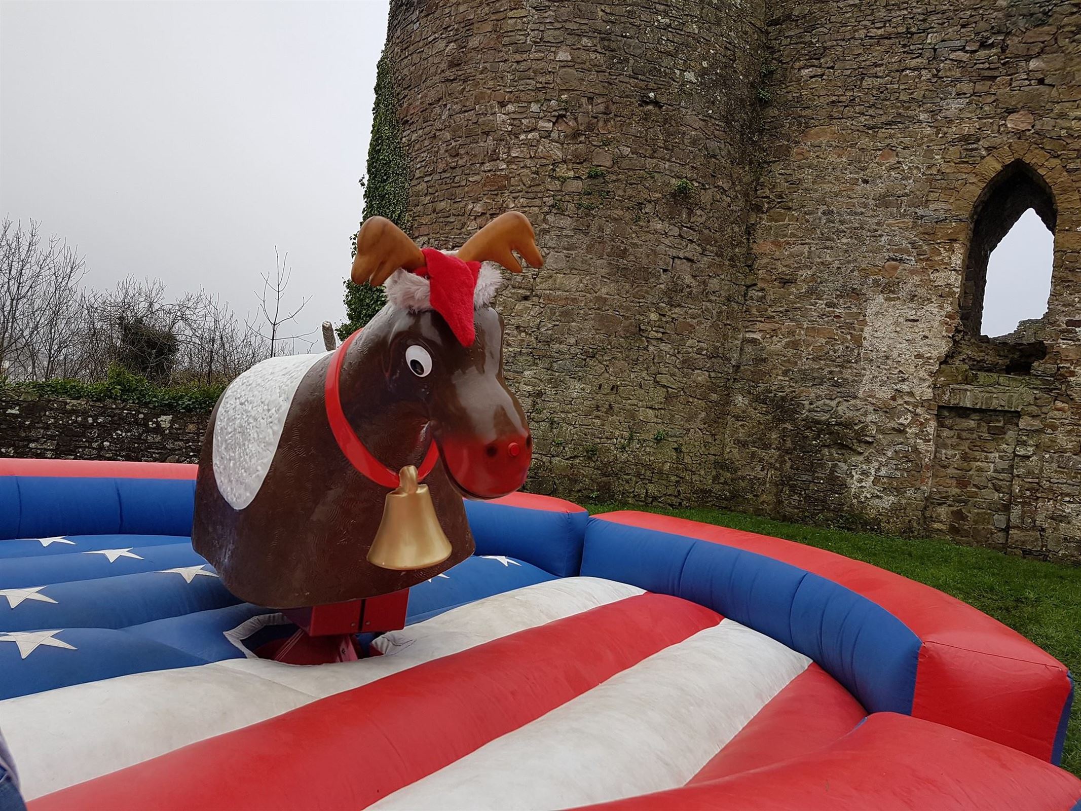 Rodeo Reindeer - Bouncy Castle Hire in Pembrokeshire, Milford Haven ...