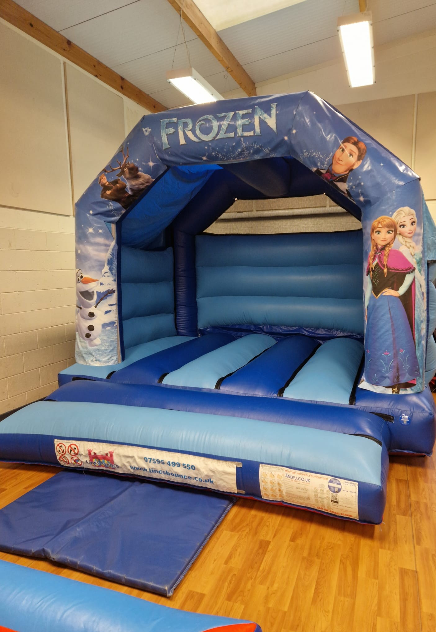 Blue A Frame with Frozen Artwork - Hire in Lincoln | Lincs bounce