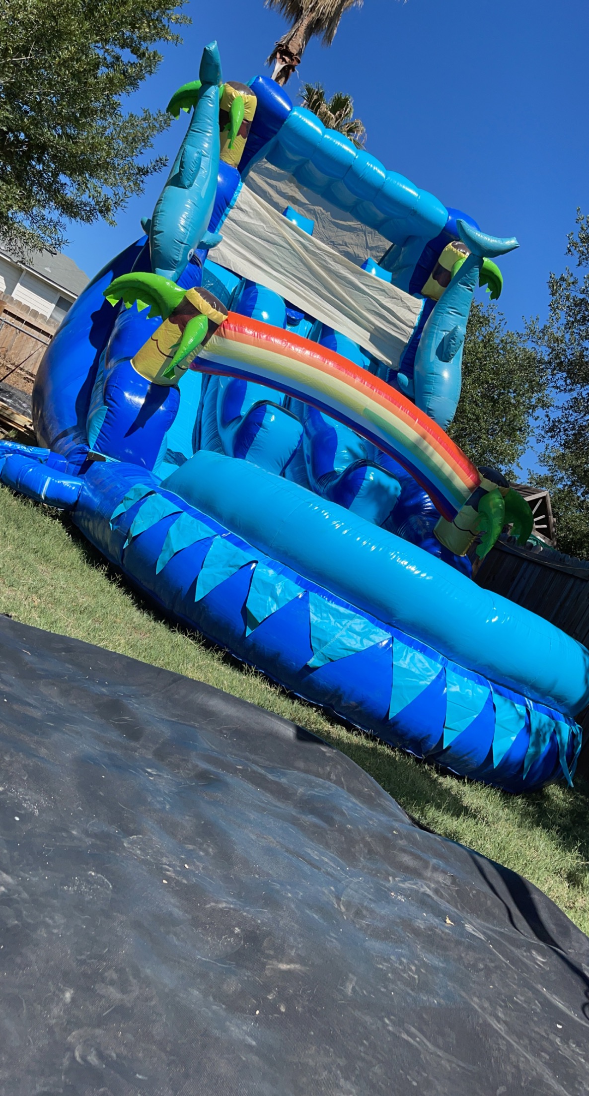Waterslides - Best Rental service in Texas | Jump and ride party rentals