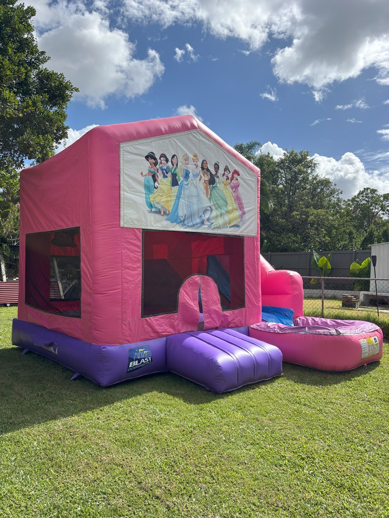 4x5 Pink Princess Themed Slide Jumping Castle - Jumping Castle Hire in ...