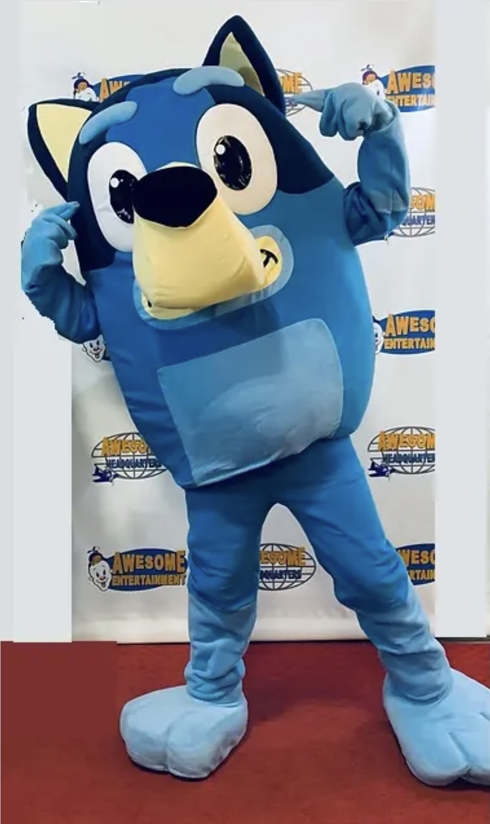 Bluey Mascot Hire. - Bouncy Castle Hire in London | Bouncing Bonkers