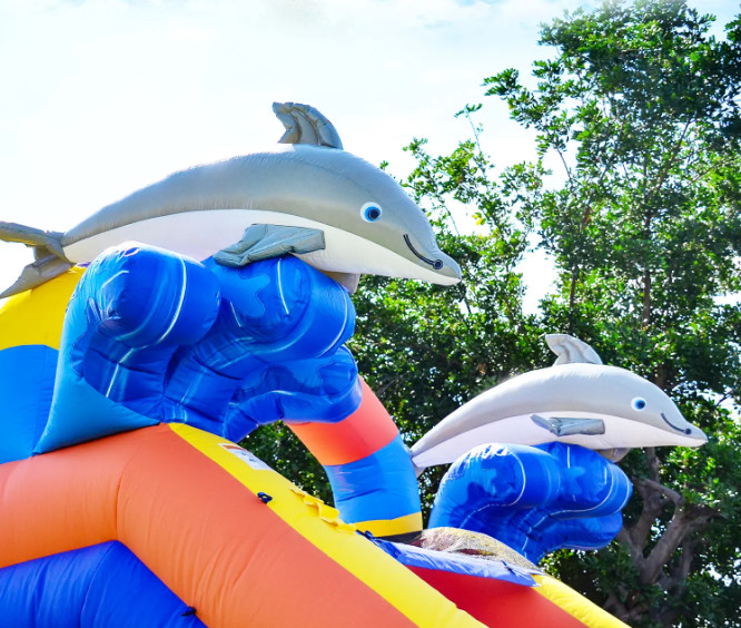 14ft. Dolphin Slide - Inflatable rentals in FL | Sebastian Inflatables