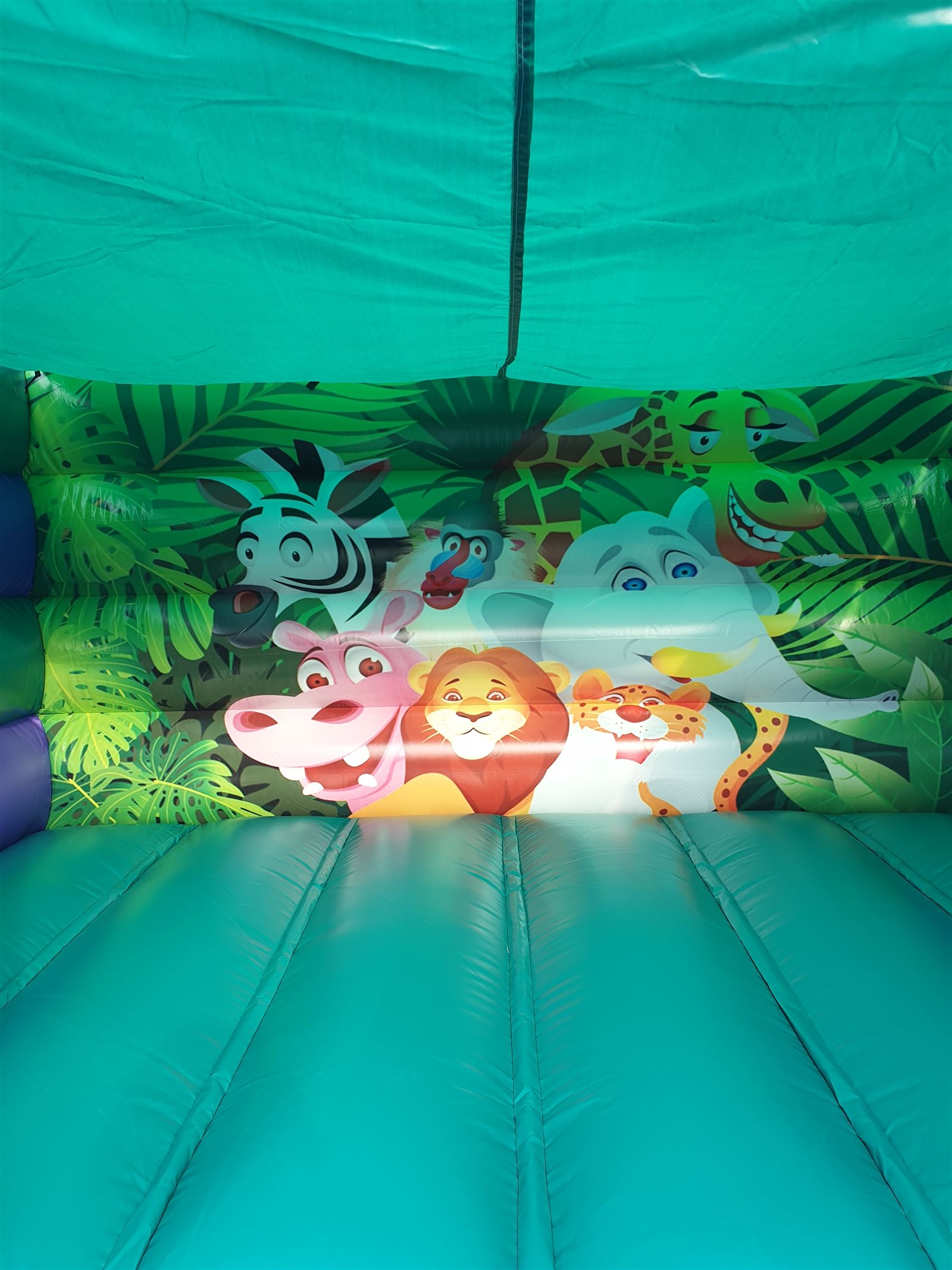 Low Jungle Castle - Jumping Castle Hire in Melbourne, Pakenham ...