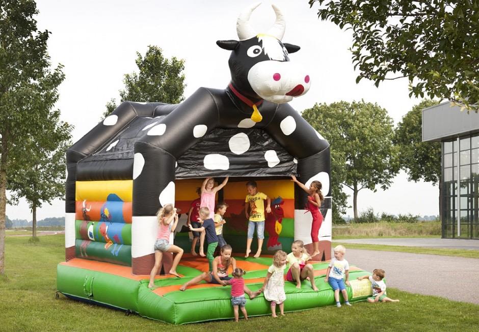 Bouncy Castle Hire - Bouncy Castle, Party Hire, Bucking Bronco in ...