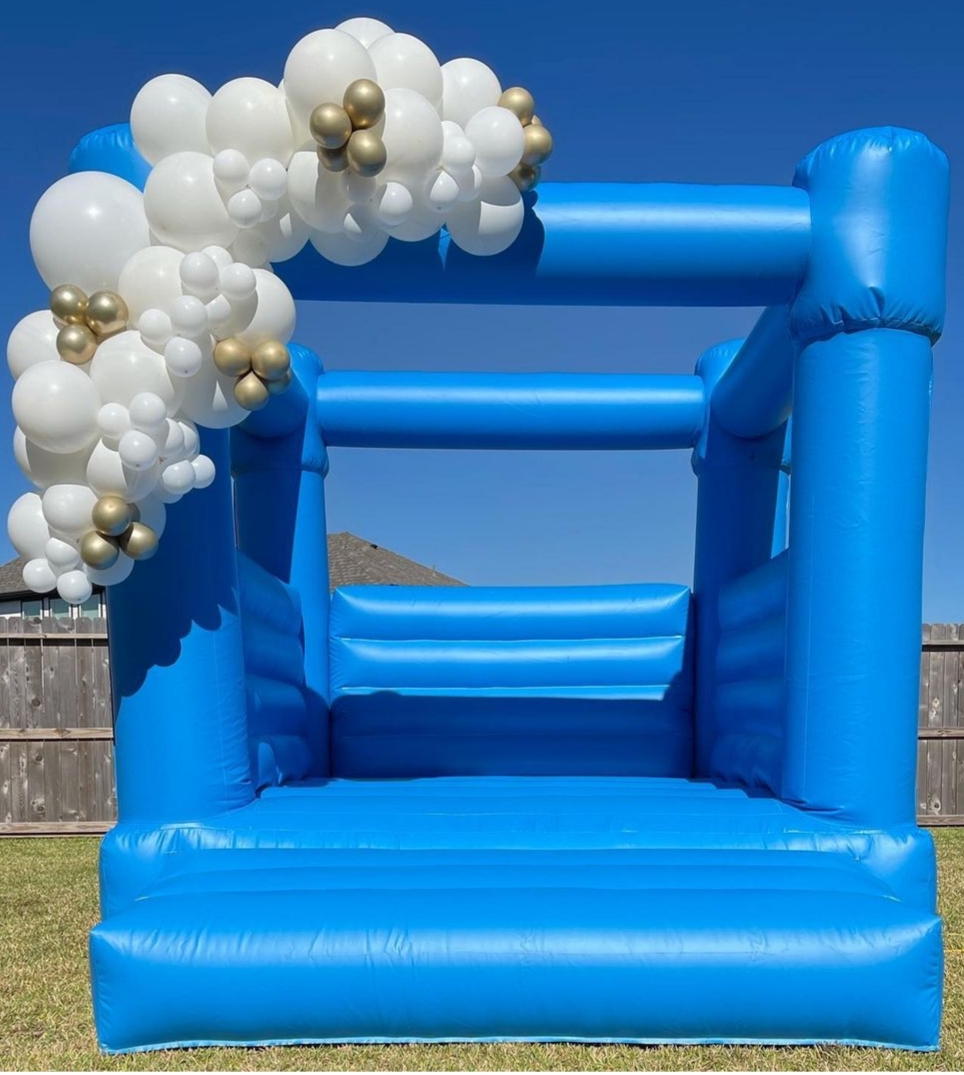 Blue Mario Bounce House Moonwalk Rental in Houston, TX