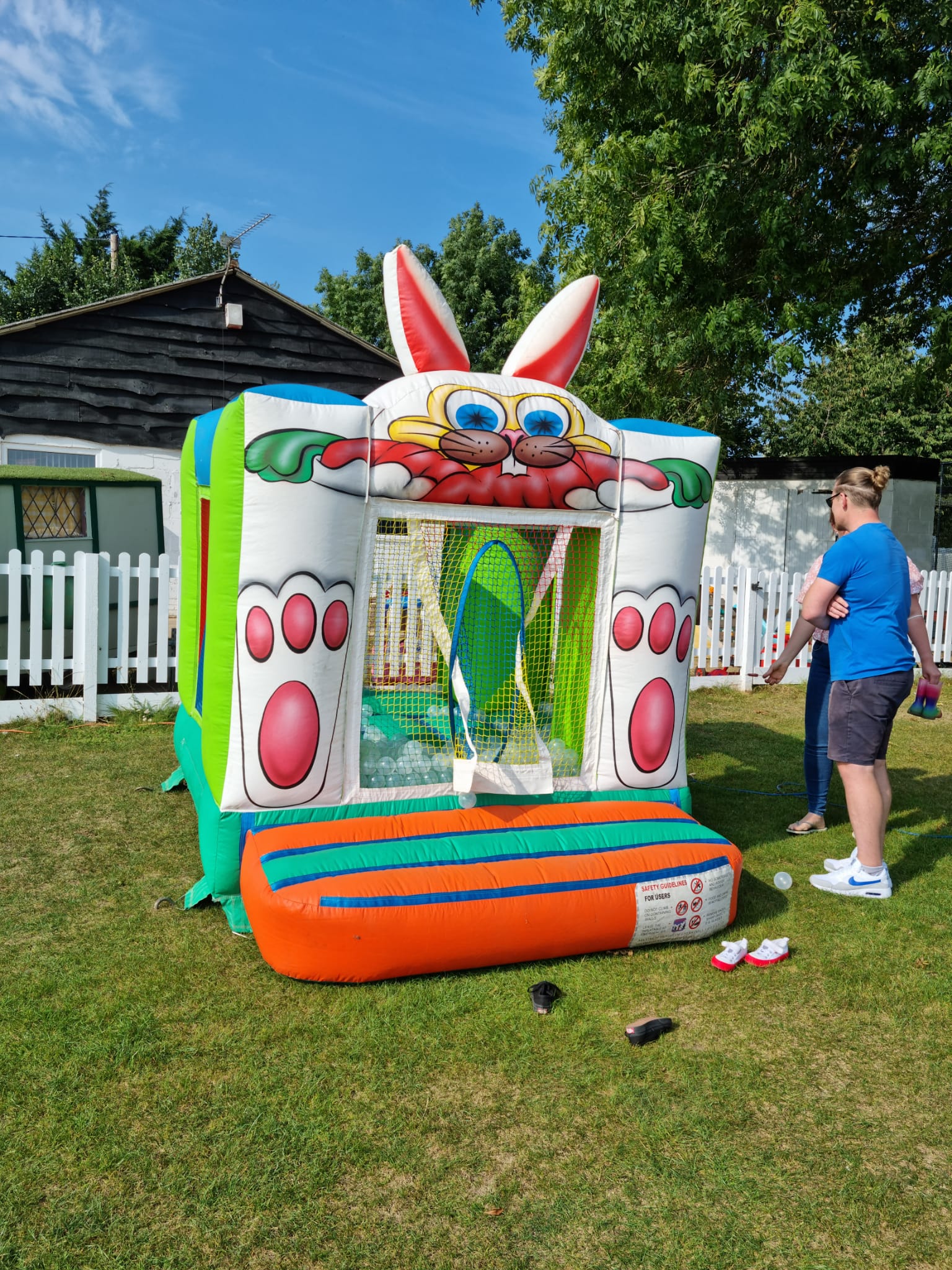 Peter Rabbit Ball Pond hire - Rodeo Bull Hire in Essex, London ...