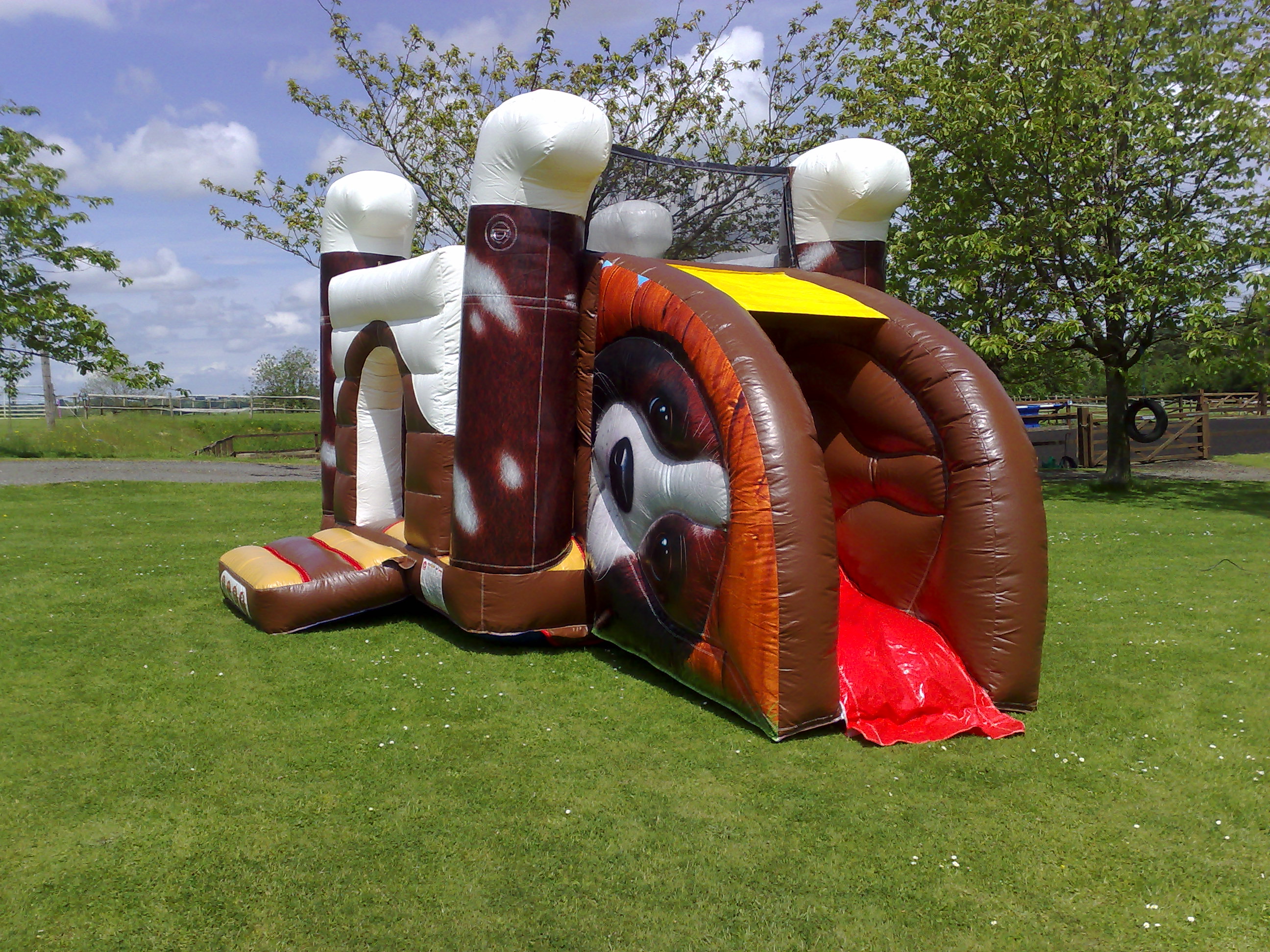 Slide Bouncer Bouncy Castle Puppy Dog with Side Slide - Bouncy Castle ...