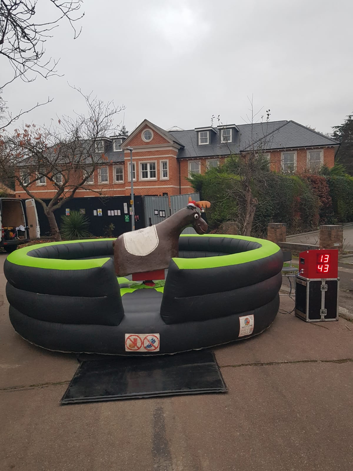 Rodeo Reindeer Hire, Christmas Rodeo Reindeer Rental, UK